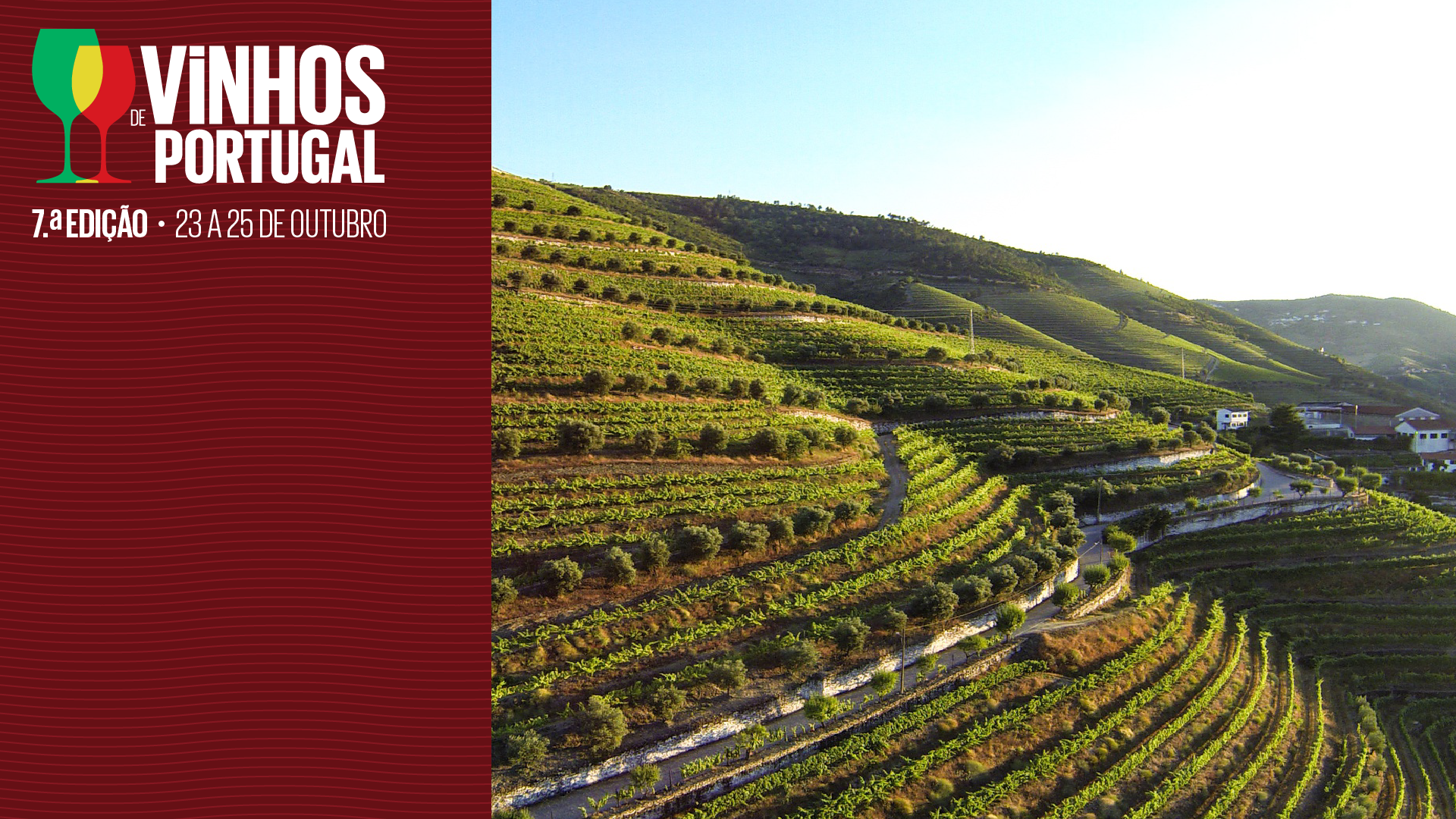 Vinhos de Portugal 2020 | PÚBLICO